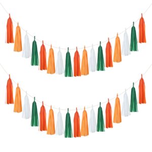 mefuny 20pcs little cutie baby shower party tassel garland tissue paper tassels banner diy kit orange green white tassel banner tangerine citrus themed party decoration supplies