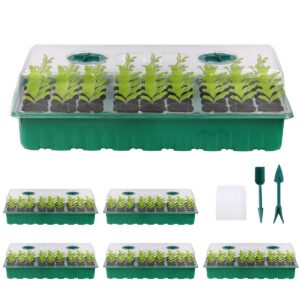 tvtutpwy seed starting trays, xl thicken plant germination kit with humidity dome durable growing trays for greenhouse & gardens, 5 pack 180 cells - green