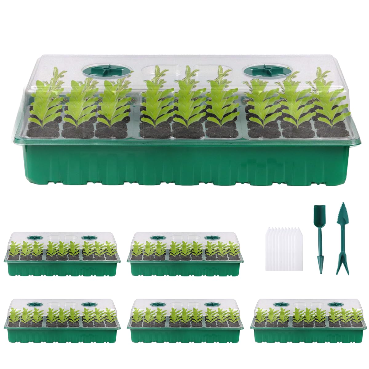 TVTUTPWY Seed Starting Trays, XL Thicken Plant Germination Kit with Humidity Dome Durable Growing Trays for Greenhouse & Gardens, 5 Pack 180 Cells - Green