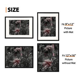 Fixwal 12 x 16 Black Picture Frame Set of 4, Display 9 x 12 Picture with Mat or 12x16 without Mat for Wall Hanging Display