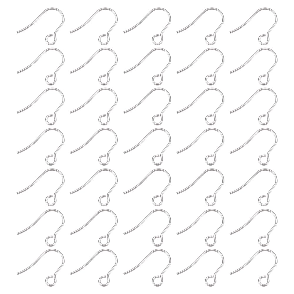 UNICRAFTALE 300pcs 15mm Long Stainless Steel Ear Wire Hooks Metal Hypoallergenic French Earring Hooks with Horizontal Loops Dangle Earrings Wire for Earring Jewelry Making Findings