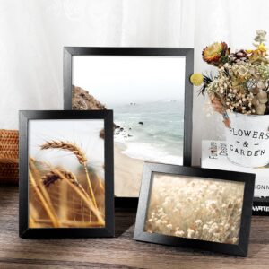 Annecy 4x10 Picture Frames (1 Pack, Black), Simple Designed Photo Frame, For Pictures 4x10 for Wall Mounting, Classic Simple Home Office Decor