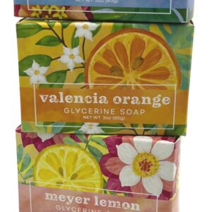 Greenwich Bay Trading Co., Fresh Fruit Collection, Set of 4 Glycerine Bar Soaps, 3 Oz. Each - Coconut Mango, Meyer Lemon, Tahitian Lime and Valencia Orange