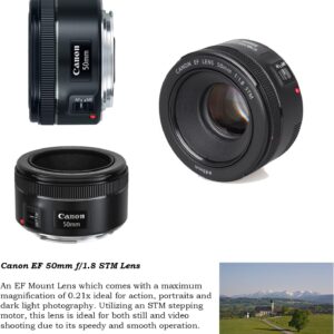 Canon EOS 5D Mark IV DSLR Camera Bundle + EF 24-105mm f3.5-5.6 is STM + EF 75-300mm f4-5.6 III + Canon EF 50mm f1.8 STM & Accessories