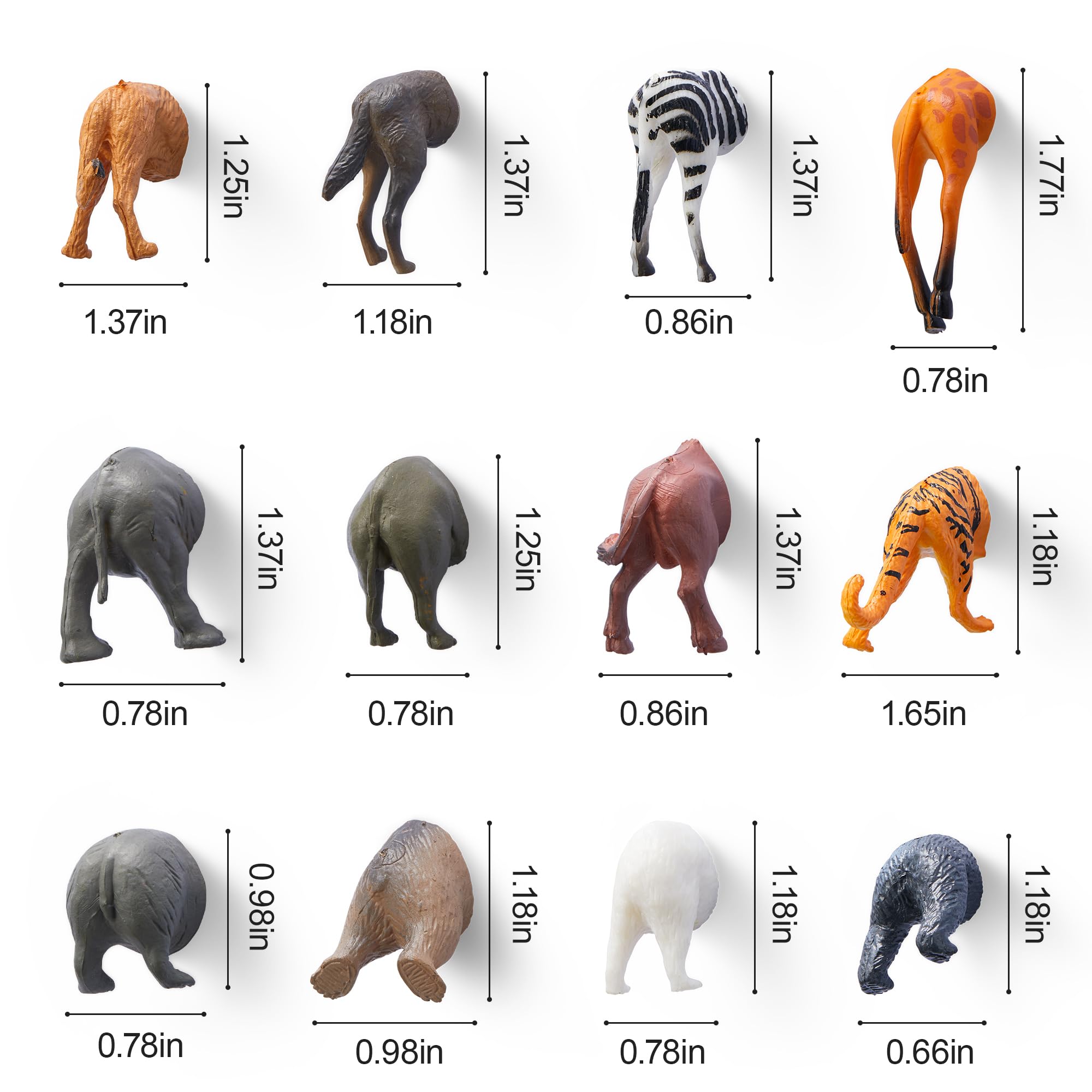 12Pcs Add Some Humor and Funny to your fridge with our Wild Animal Butt Magnets - Perfect for Home refrigerator magnets for adults or Kids (Animal Butts)