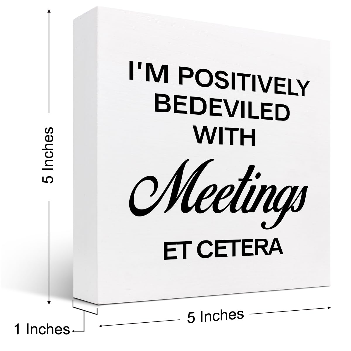 I'm Positively Believed with Meetings Et Cetera Wood Block Sign Desk Decor,Funny Wooden Box Plaque Sign Desk Decor for Home Office Shelf Table Decor Decorations