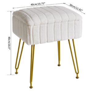 IBUYKE Stool Chair with Storage Space, Footrest Footstool Ottoman, Small Side Table, with 4 Metal Legs, with Anti-Slip Feet, for Makeup Room, Bedroom, White, Faux Fur LG-50W