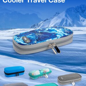 Leng Ke Ice Pack for Insulin Cooler Travel Case TSA Approved - Gel Ice Pack for Travel Medicine Organizer, Small Ice Packs for Diabetic Travel Case and Refrigerated Medicine Travel Case (4 Pack)