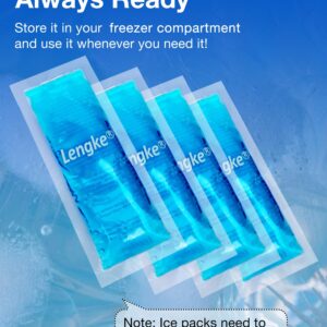 Leng Ke Ice Pack for Insulin Cooler Travel Case TSA Approved - Gel Ice Pack for Travel Medicine Organizer, Small Ice Packs for Diabetic Travel Case and Refrigerated Medicine Travel Case (4 Pack)