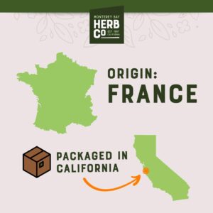 Monterey Bay Herb Co. Organic Gentian Root, Cut & Sifted | Yellow Gentian or Bitterwort | Similar to Hops | Herbal Bitters and Tea Blends (1/4 Pound)