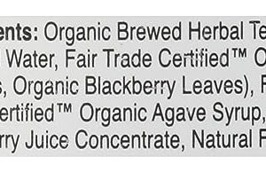 Eat The Change Just Ice Tea Organic Berry Hibiscus Herbal Tea, Caffeine Free, 16 Fluid Ounces (Pack Of 12)