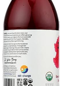 Eat The Change Just Ice Tea Organic Berry Hibiscus Herbal Tea, Caffeine Free, 16 Fluid Ounces (Pack Of 12)