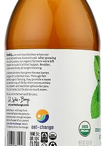 Eat The Change Just Ice Tea Organic Moroccan Mint Green Tea, Kosher, 16 Fluid Ounces (Pack Of 12)