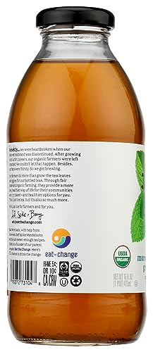 Eat The Change Just Ice Tea Organic Moroccan Mint Green Tea, Kosher, 16 Fluid Ounces (Pack Of 12)