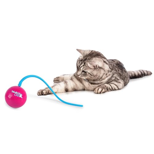 ALL FOR PAWS Interactive Cat Ball Toy