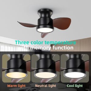 Roomratv Ceiling Fans with Lights 22 inch Quiet Ceiling Fan Large Airflow Remote Control 3 Color Temperature for Bedroom Kitchen Dining room Patio（Black）