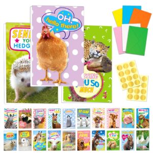 funny animal greeting cards with envelopes stickers 24 pack thinking of you miss you hello note cards for for kids students friends teacher family birthday, holiday gifts present 4x6 in