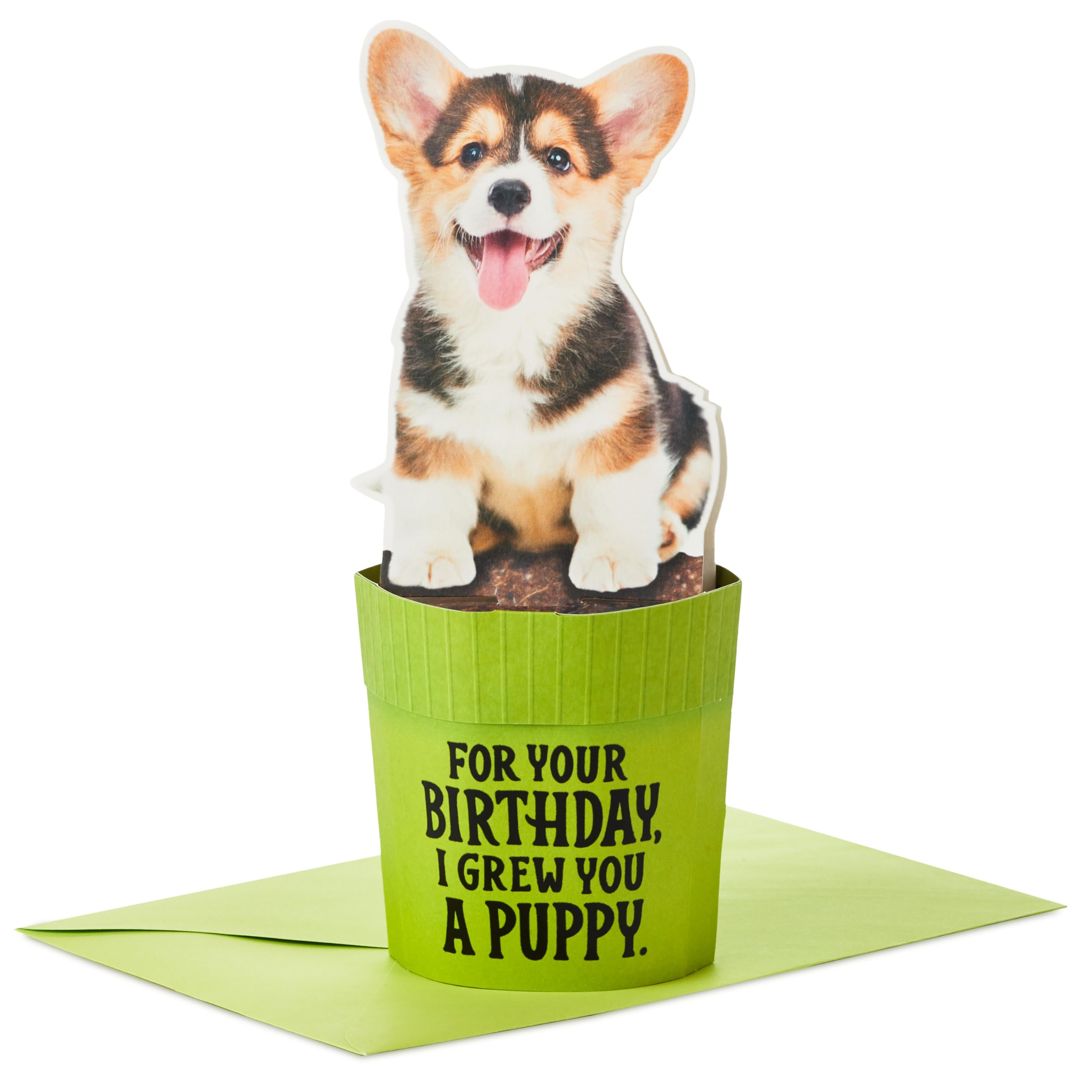 Hallmark Paper Wonder Shoebox Funny Pop Up Card for Birthdays (Puppy in a Pot)