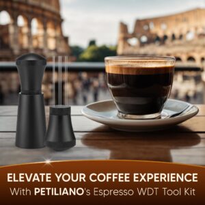 PETILIANO WDT Tool Espresso 10 Needle Set - Aluminum Made - 0.35 mm Needle - Espresso Distribution Tool, Espresso Accessories, Coffee Distributor, Barista Tools, Espresso Stirrer