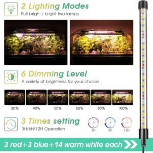 Ryscam Seed Starter Tray with Grow Light, 40-Cell Seed Starter Kit, Seedling Starter Trays Kit with Humidity Domes, Automatic Timer, Adjustable Light Indoor Gardening Plant Germination Trays