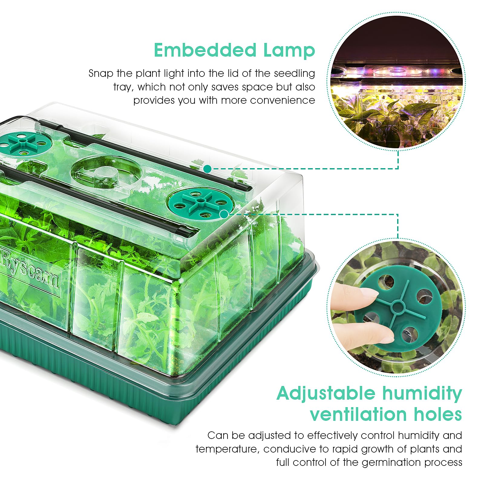 Ryscam Seed Starter Tray with Grow Light, 40-Cell Seed Starter Kit, Seedling Starter Trays Kit with Humidity Domes, Automatic Timer, Adjustable Light Indoor Gardening Plant Germination Trays