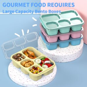 Bento Box Adult Lunch Box - 4 Pack, 5 - Compartment Meal Prep Container for Kids, Reusable Food Storage Snack Containers - Stackable for School, Work, and Travel (PP(Blue/Pink/Green/Yellow))