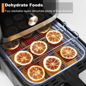 SICHEER Dehydrator Rack Stainless Steel Stand Accessories Compatible with Instant Vortex Plus 6 quart Air Fryer, Ninja Foodie Grill, Chefman 8 quart Air Fryer, 4 layers