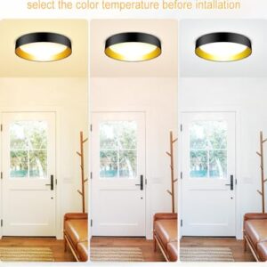 Flush Mount Ceiling Light Fixtures - 2Pack LED Ceiling Light Fixture 30W[375W Equiv] 3000LM Dimmable Bedroom Ceiling Lights, 3000K/4000K/5000K Black Ceiling Light for Bedroom Kitchen Hallway Closet