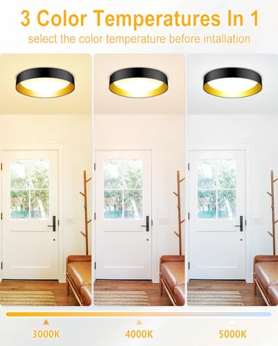 Flush Mount Ceiling Light Fixtures - 2Pack LED Ceiling Light Fixture 30W[375W Equiv] 3000LM Dimmable Bedroom Ceiling Lights, 3000K/4000K/5000K Black Ceiling Light for Bedroom Kitchen Hallway Closet