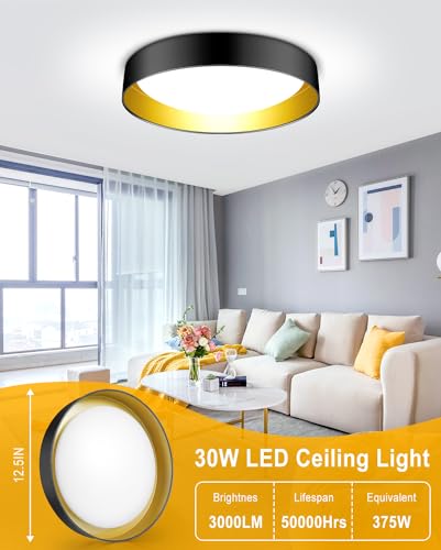 Flush Mount Ceiling Light Fixtures - 2Pack LED Ceiling Light Fixture 30W[375W Equiv] 3000LM Dimmable Bedroom Ceiling Lights, 3000K/4000K/5000K Black Ceiling Light for Bedroom Kitchen Hallway Closet