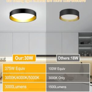 Flush Mount Ceiling Light Fixtures - 2Pack LED Ceiling Light Fixture 30W[375W Equiv] 3000LM Dimmable Bedroom Ceiling Lights, 3000K/4000K/5000K Black Ceiling Light for Bedroom Kitchen Hallway Closet