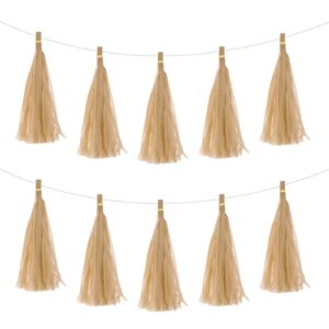 meccanixity 15pcs khaki tassel garland banner with rope tissue paper tassels party diy kits for anniversary wedding birthday party