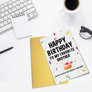 Funny Birthday Card for Brother, Humorous Bro Bday Greeting Card, Hilarious Brother Birthday Card from Sister Brother