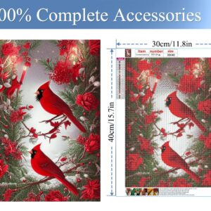 JFYHAB 5D Diamond Painting Kits for Adults Full Drill North American Cardinal Kit Embroidery Rhinestone Painting Round Drill Cardinal Birds Paint with Diamond for Christmas Home Wall Decor 12x16