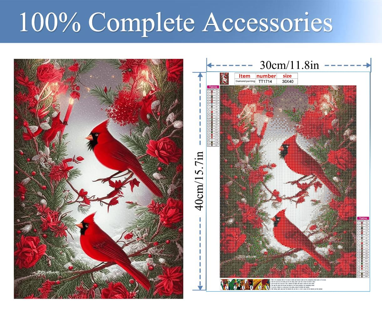 JFYHAB 5D Diamond Painting Kits for Adults Full Drill North American Cardinal Kit Embroidery Rhinestone Painting Round Drill Cardinal Birds Paint with Diamond for Christmas Home Wall Decor 12x16