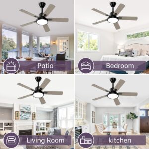 Obabala Ceiling Fans with Lights and Remote, Outdoor/Indoor Black Fan with Lights for Patio Bedroom Living Room，52 Inch