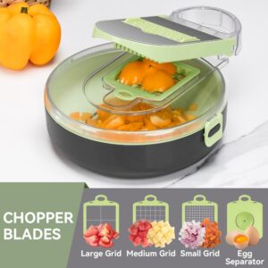 Badelite 13 in 1 Vegetable Chopper Slicer, Stainless Steel Blade, Grey & Green