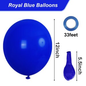 RUBFAC 50pcs Royal Blue Latex Balloons, 12 Inch Helium Party Balloons, Latex Balloons for Balloon Garland Arch as Wedding, Birthday, Graduation, Baby Shower, Bridal Shower