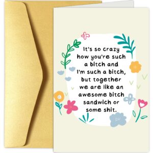 best friend birthday card, funny birthday card for bestie sister, friendship card for women lady girl, thinking of you card, bitch sandwich