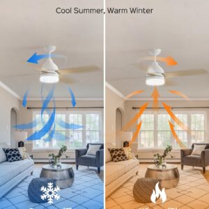 JACKYLED 52 Inch Ceiling Fan with Light Remote Control, 6 Fan Speeds & 3-Color Dimmable Light, Quiet Reversible DC Motor, LED Ceiling Fan Light for Bedroom, Living Room, White/Lightwood Blades