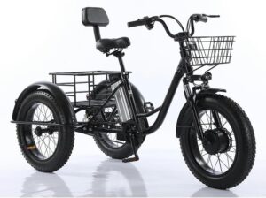 cnaohghn 500w motor electric tricycle comes , 48v single speed removable battery fat tire trike seniors cycling 3 wheels e-bike with carry cargo front&rear big basket