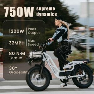 Fucare Libra 1200W Peak Electric Bike for Adults 32MPH 48V 20Ah LG Battery EBike, Full Suspension 20"×4.0" Fat Tire Commute 750w Electric Bicycles (+Basket Set, 20Ah Graphite Gray)