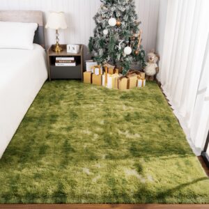 Maxsoft M Fluffy Shag Bedroom Rug, 5x8 Feet Tie-dye Green Area Rugs for Living Room Nursery Bedside, Fuzzy Plush Dorm Rug for Girls Kids, Furry Carpet for Indoor Modern Soft Home Decor