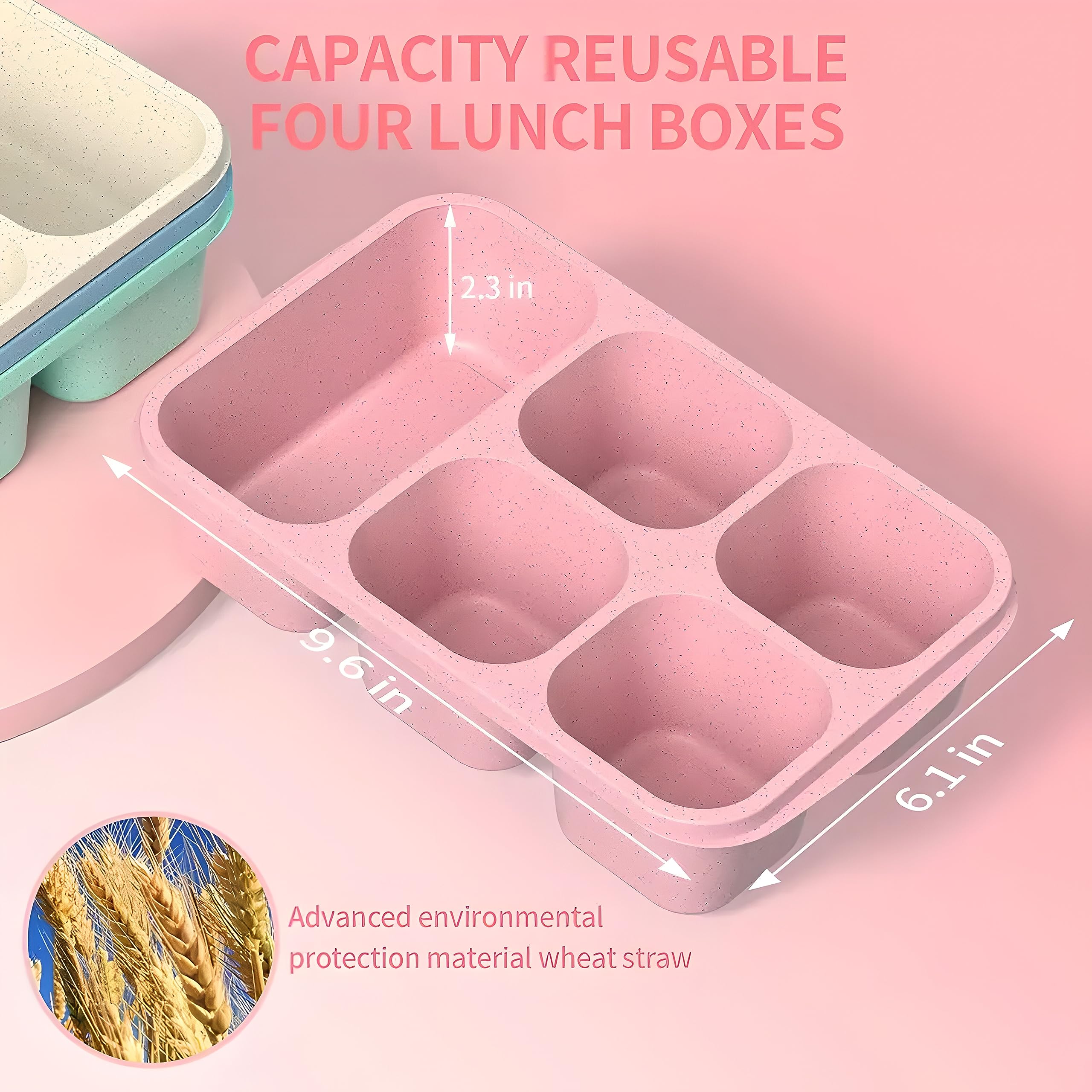 box2go Bento Box Adult Lunch Box [4 Pack], 5-Compartment Meal Prep Container for Kids, Reusable Food Storage Containers with Transparent Lids, No BPA, Microwaveable [Wheat Green/Blue/Pink/Beige]