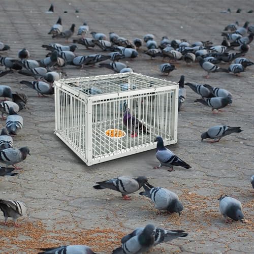 Pigeon Trap with Escape-Proof Design, Pigeon Cage with One-Way Entry, Ideal Pigeon Coop, Chicken and Bird Trap Cage, Portable & Easy Assembly, Unharmful Made of High-Strength Iron and Anti-Rust Paint