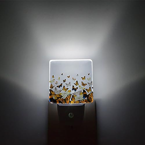 Big buy store Night Lights Auto Sensor Butterfly Floral Plug-in LED Nightlights Dusk to Dawn for Living Room, Bedroom, Bathroom, Kitchen, Hallway, Stairways, Country Style Orange Blue Butterfly