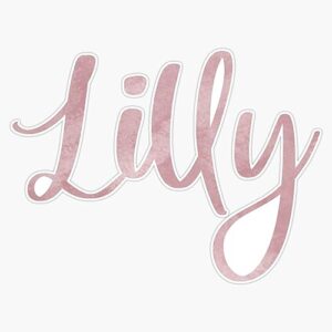 lilly pink watercolor bumper sticker vinyl decal 5"