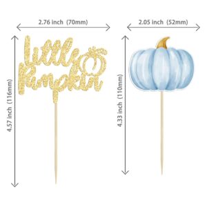 Gyufise 24Pcs Little Pumpkin Cupcake Toppers Blue Pumpkin Cake Toppers Gender Reveal Cake Decorations for Thanksgiving Birthday Baby Shower Fall Theme Party Decoration Supplies