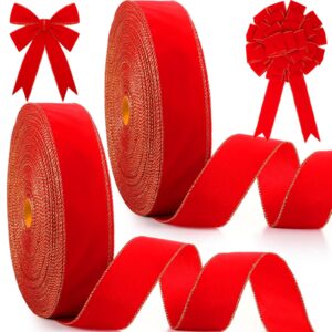 lyrow 2 pack wired traditional red velvet 2.5 inch christmas ribbon waterproof ribbon with wire edge 2 1/2" wide 100 yards roll holiday floral craft winter decor outdoor xmas tree bow (red, gold)