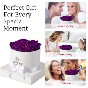 Graclect 7-Piece Preserved Roses in a Box for Delivery Prime - Forever Flowers - Immortal Roses Birthday Gifts for Her - Christmas & Valentines Day Gifts for for Mom/Girlfriend/Wife/Grandma - Purple…